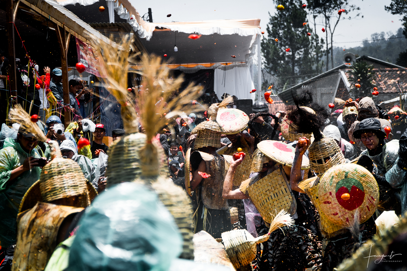 Melihat dan merasakan langsung serunya Wisata Budaya, Rempug Tarung Adu ...